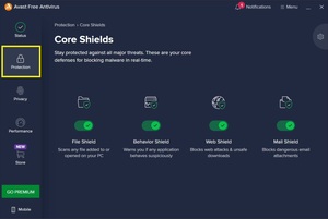 How to stop Avast from Blocking a Website