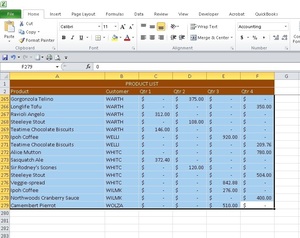 How to add Cell Borders in Microsoft Excel