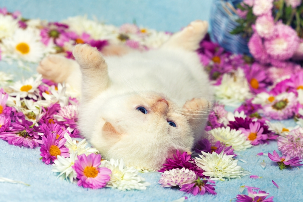 9 Best Books on Dream Interpretation